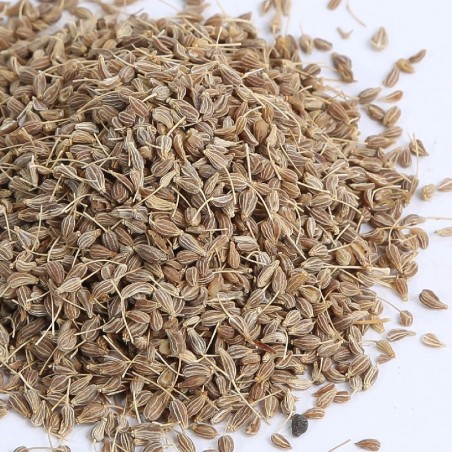 Plantes médicinales d'Anis vert